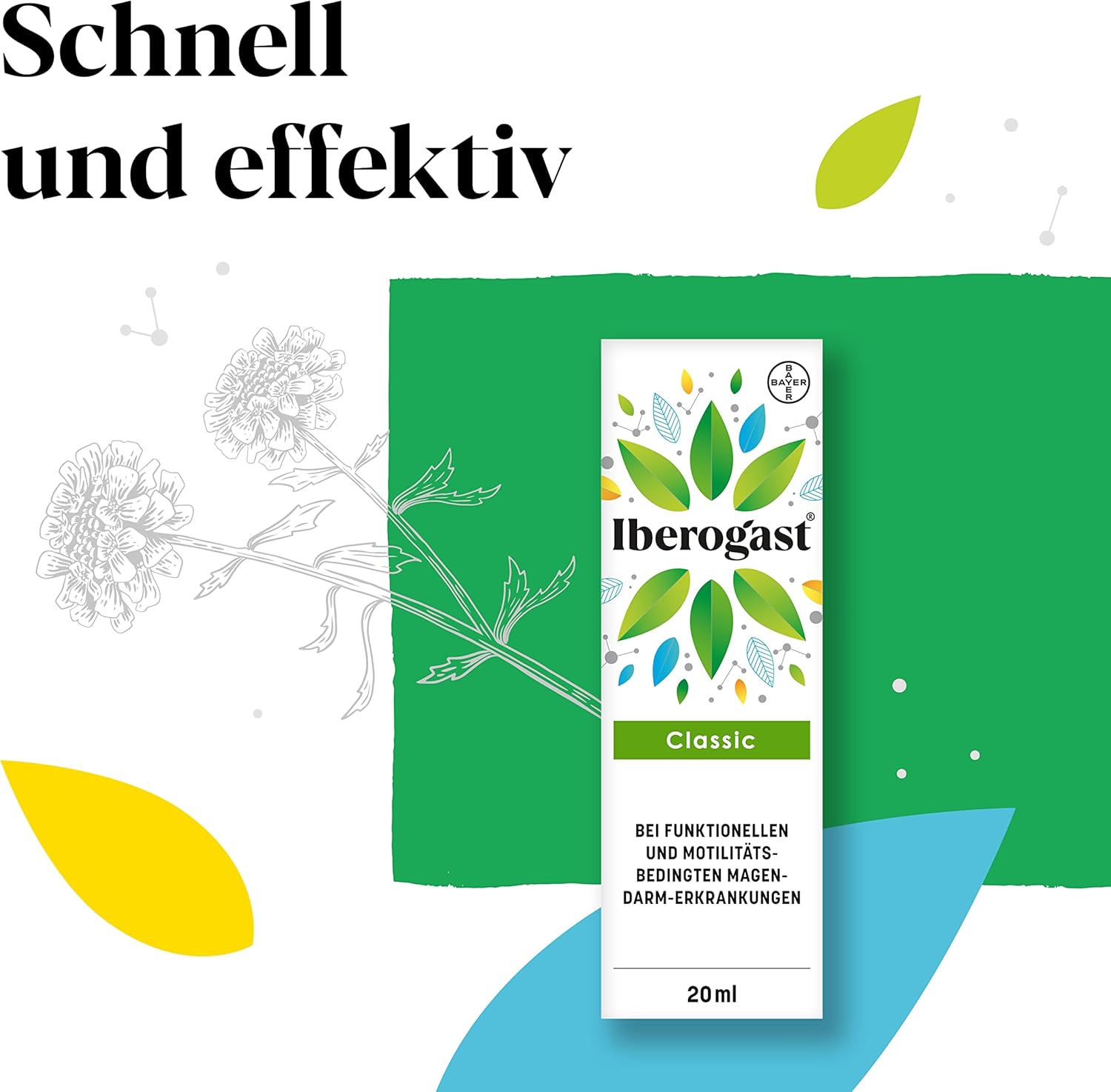 Iberogast: Anwendung, Dosierung und Vorteile bei Magen-Darm-Beschwerden ...